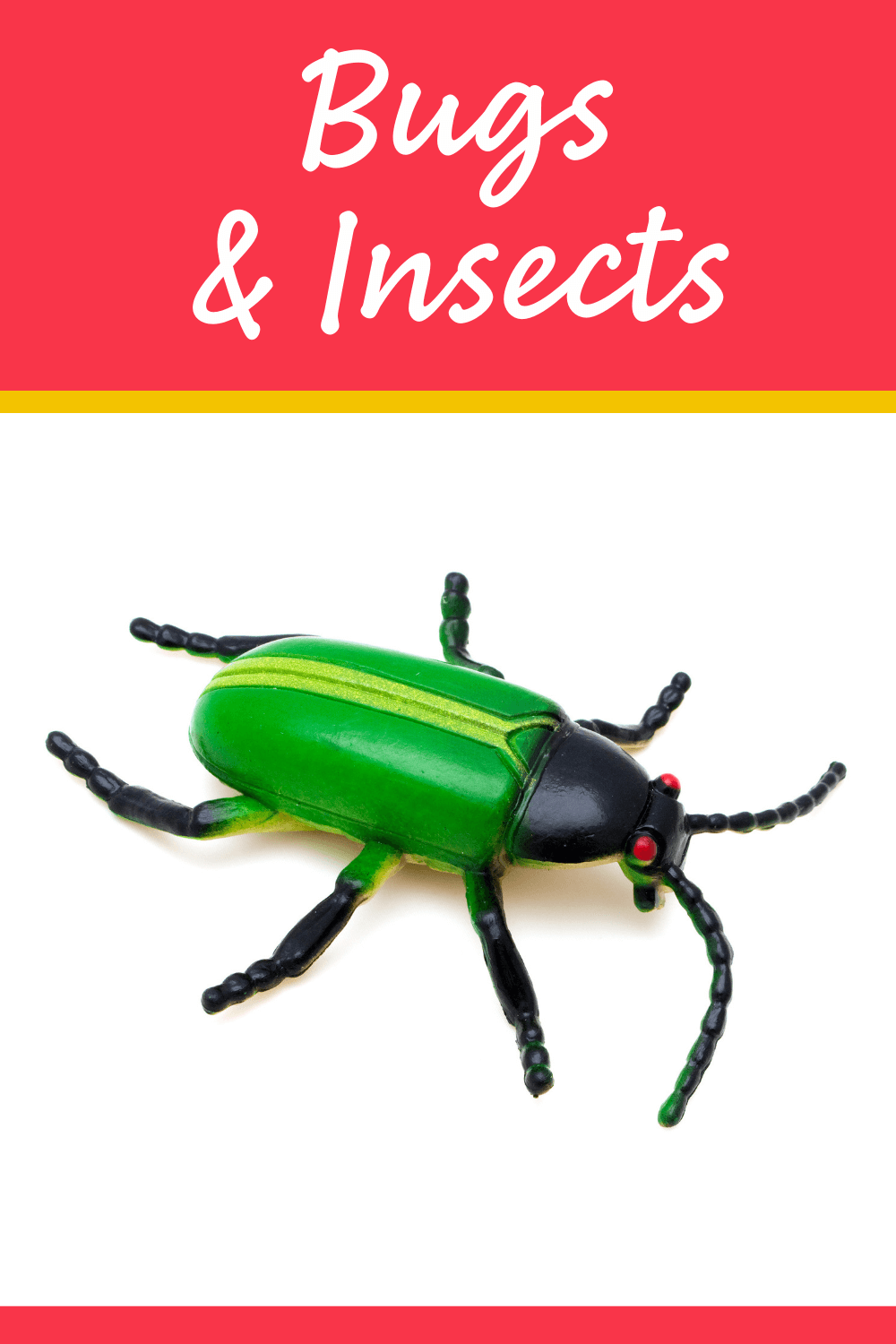 Preschool Themes | Early Learning Ideas