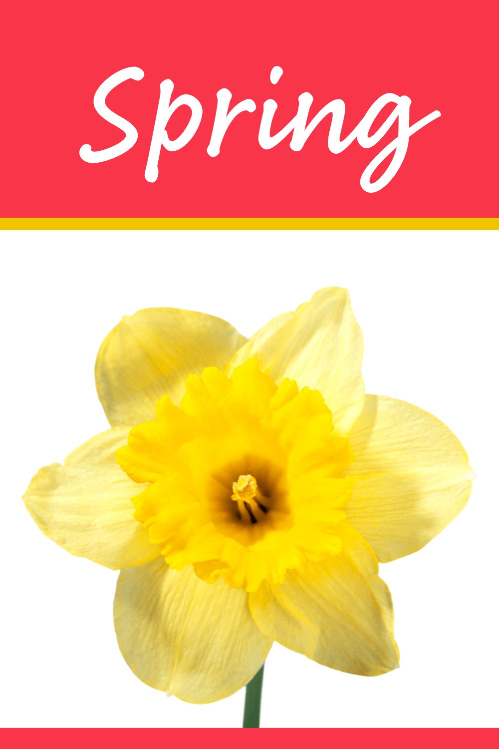 Season Activities for Preschool | Early Learning Ideas