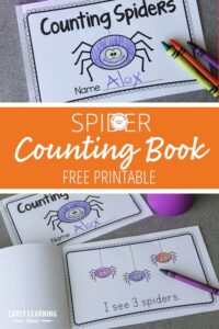 Spider Theme | Early Learning Ideas