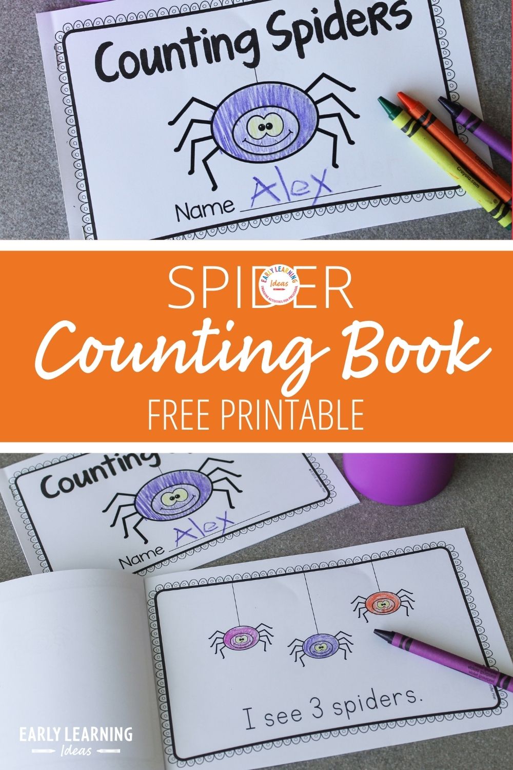 Spider Theme | Early Learning Ideas
