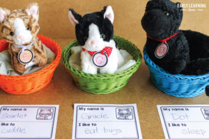 Create an Animal Shelter Dramatic Play Area That will Delight Your Kids