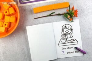 10+ Exciting Flower Science Activities for Your Preschoolers