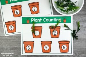 Best Ideas for Seed & Plant activities for preschoolers