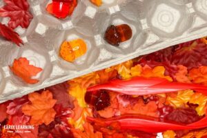 The Best Thanksgiving Activities for Preschoolers