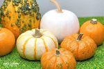 Pumpkin Patch Dramatic Play Center Ideas Your Kids Will Love This Fall