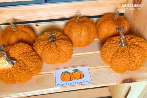 Pumpkin Patch Dramatic Play Center Ideas Your Kids Will Love This Fall